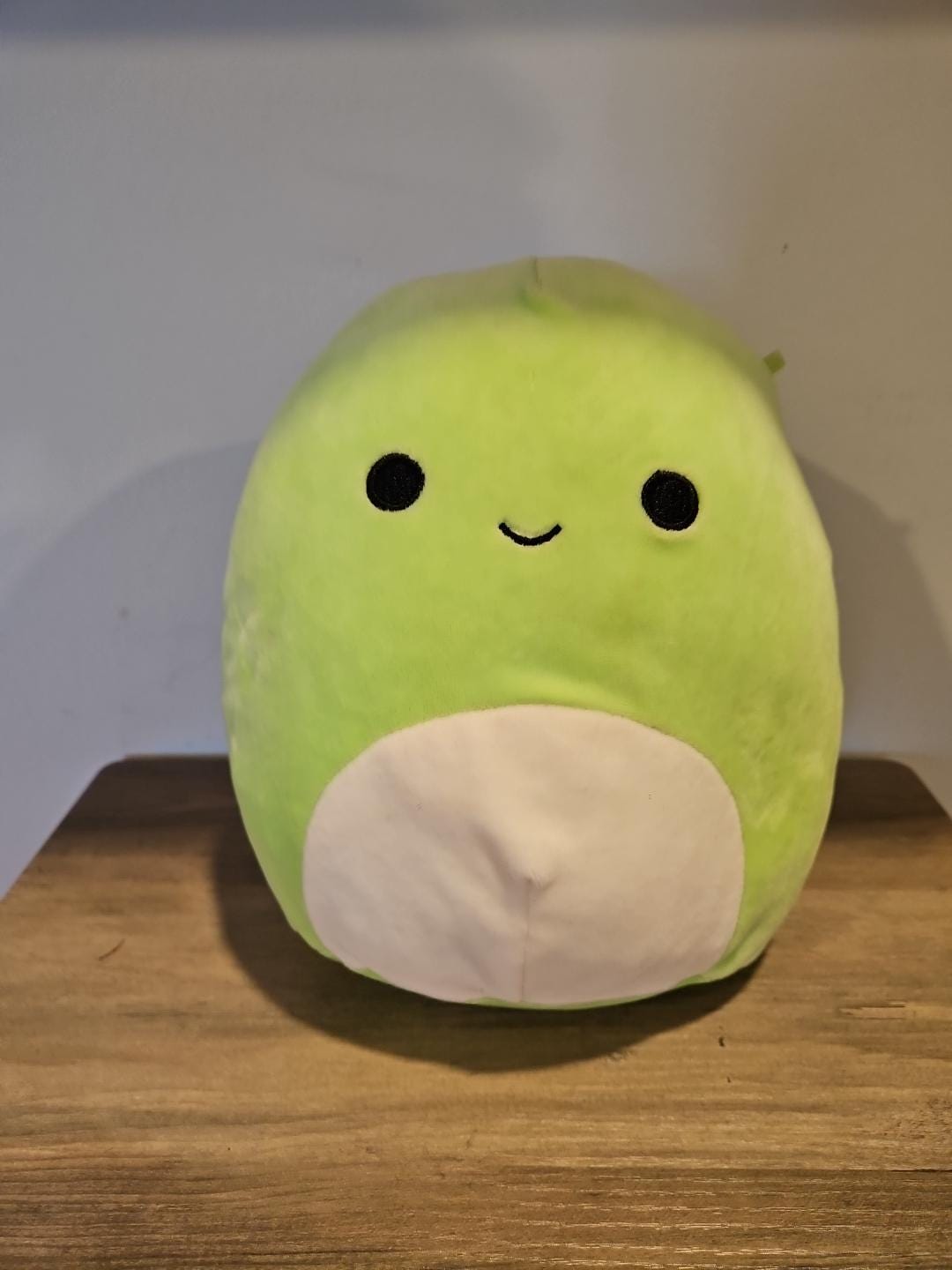 Henry the Turtle 8in Squishmallow - Etsy