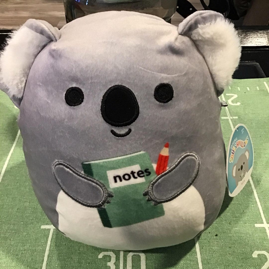 NWT Squishmallow Kirk the Koala "back to School" 8 Inches Plush - Etsy