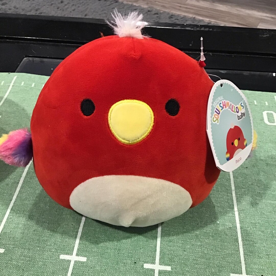 NWT Squishmallow Paco the Parrot 8" New With Tags - Etsy
