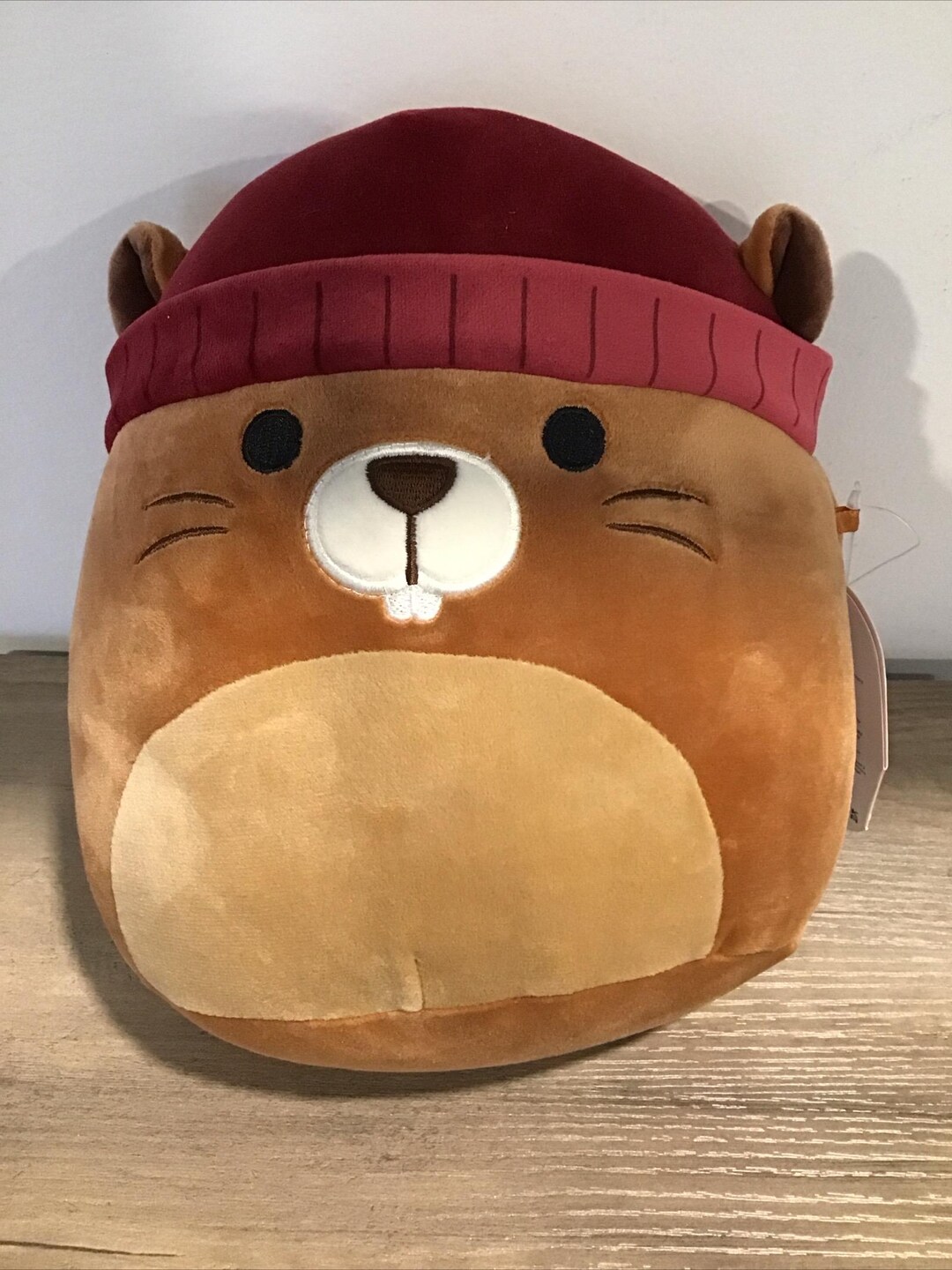 Squishmallows 8 Chip the Beaver Halloween 2023 NWT - Etsy