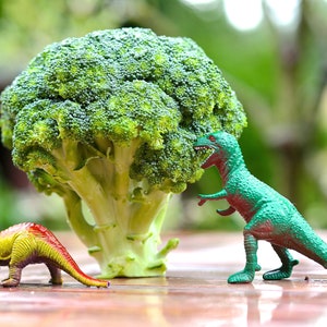 20+seeds|broccoli Seeds -authentic - Open-pollinated - Asian Garden ...