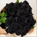30 Seedsblack Halfeti Rose Perennial Flower Authentic - Etsy