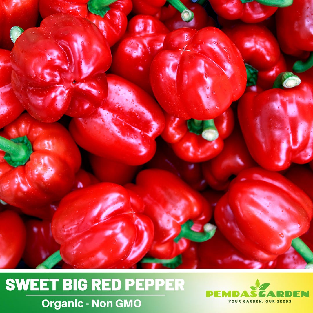 20+seeds|sweet Big Red Pepper Seeds - Authentic - Open-pollinated ...