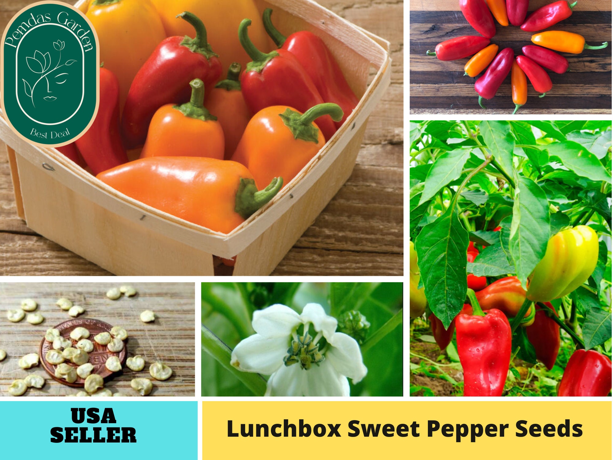 30 Seeds Lunchbox Sweet Pepper Seeds Authentic Seeds GMO - Etsy