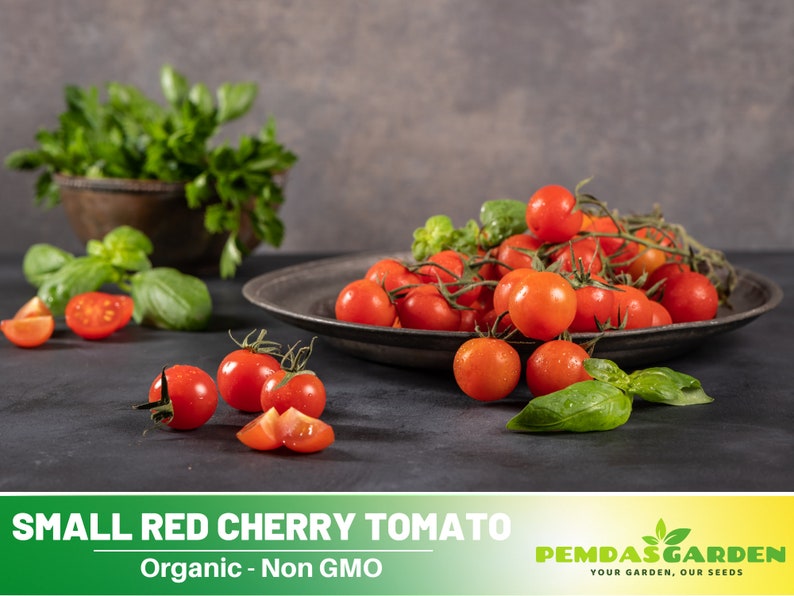 30 Seeds| Small Red Cherry Tomato Seeds- Authentic Seeds ~ GMO Free ...