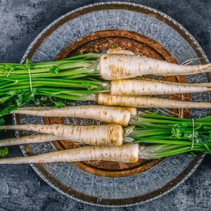 10 Seeds| All American Parsnip Seeds - Authentic - Open-pollinated ...