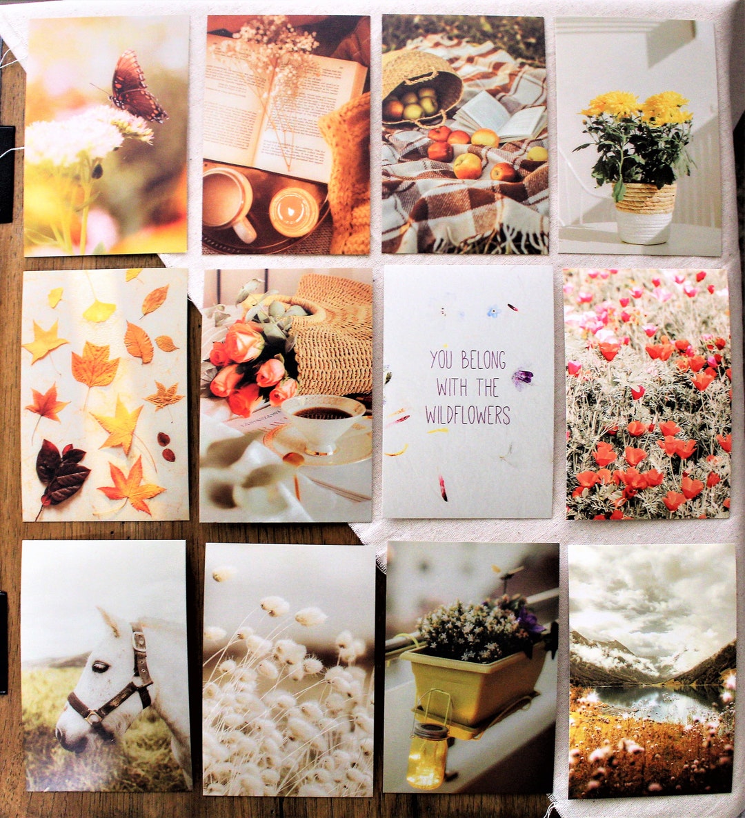Assorted Cottage Core Aesthetic Postcards | Set of 5 Blank Postcards ...