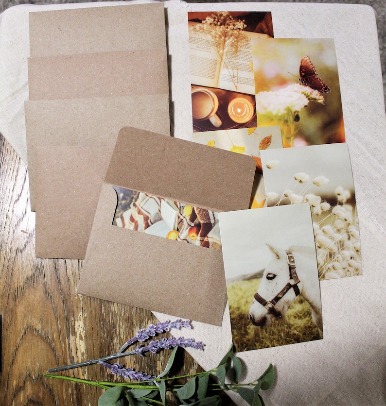 Assorted Cottage Core Aesthetic Postcards | Set of 5 Blank Postcards ...