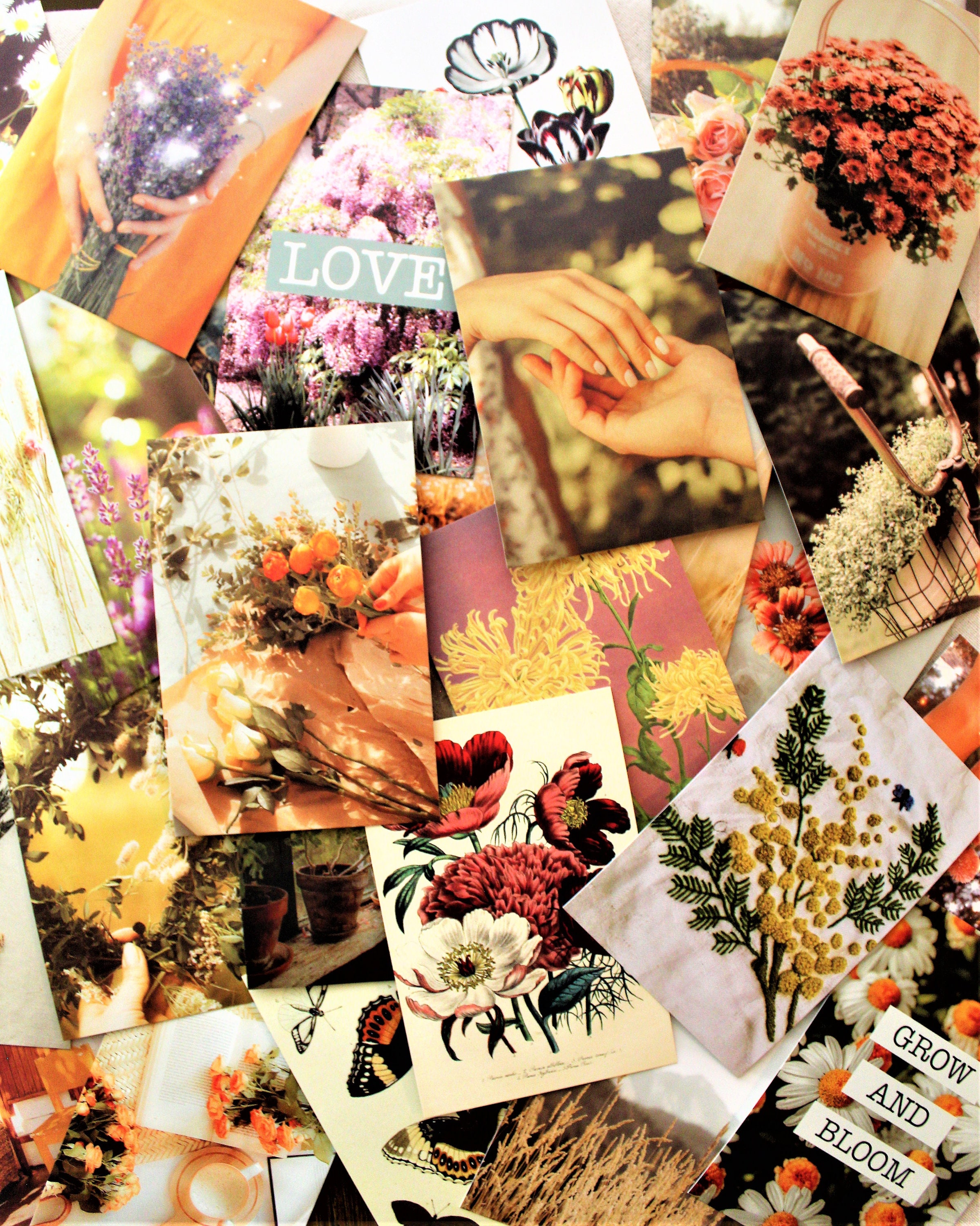 Assorted Cottage Core Aesthetic Postcards | Set of 5 Blank Postcards ...
