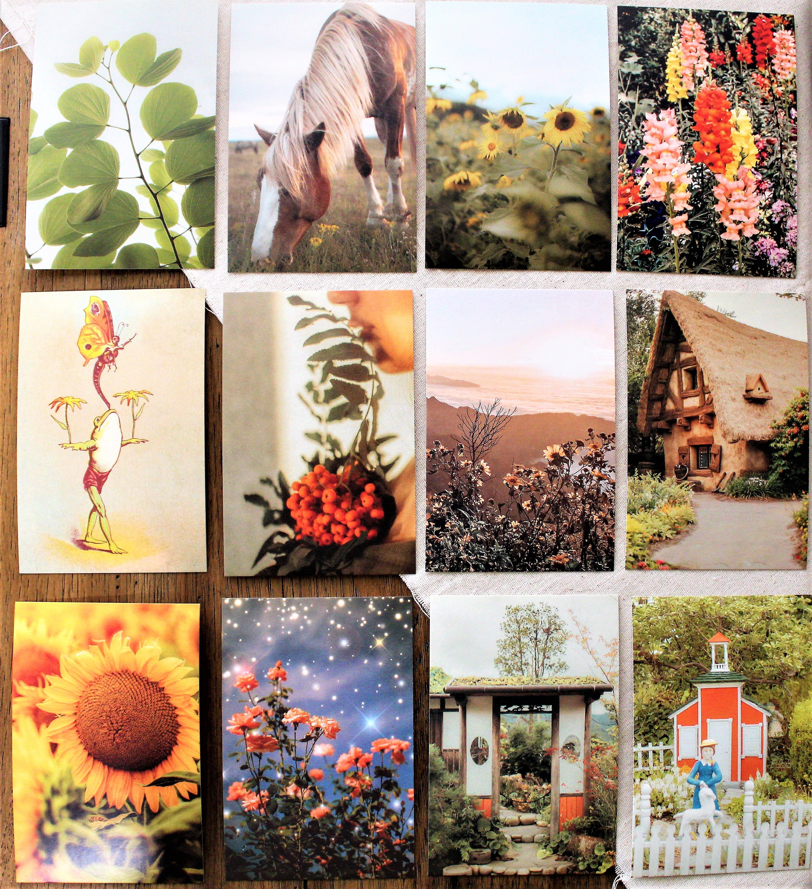 Assorted Cottage Core Aesthetic Postcards | Set of 5 Blank Postcards ...