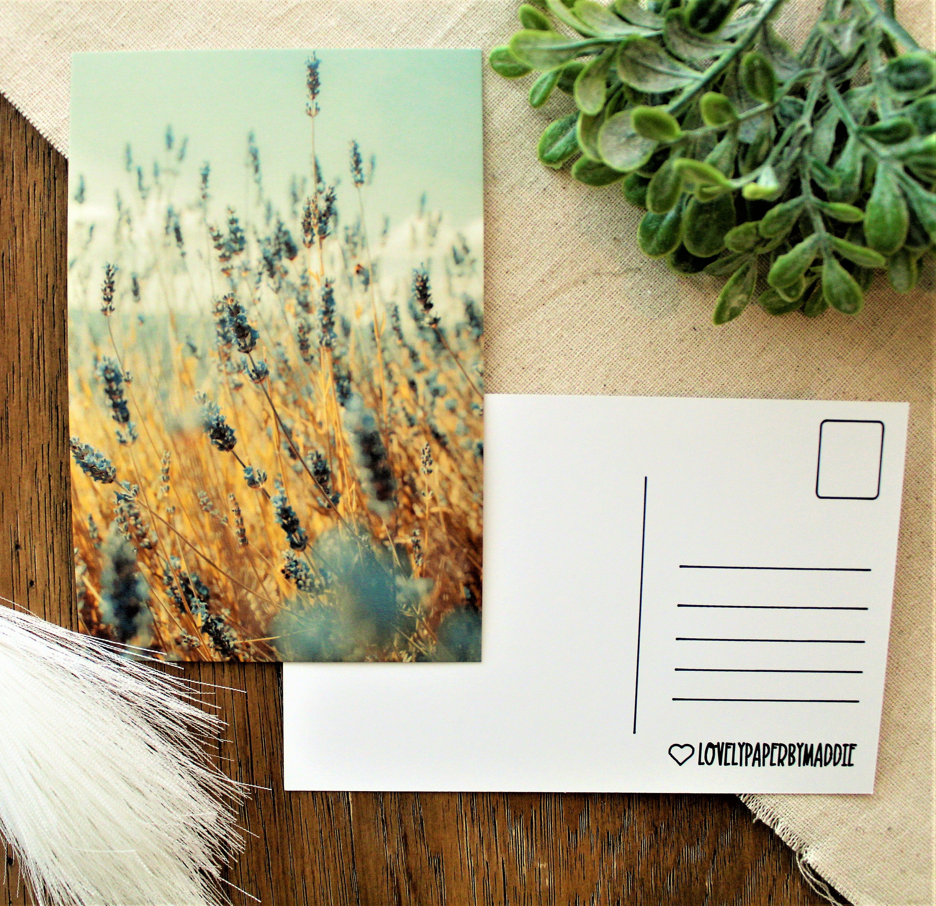 Assorted Cottage Core Aesthetic Postcards | Set of 5 Blank Postcards ...