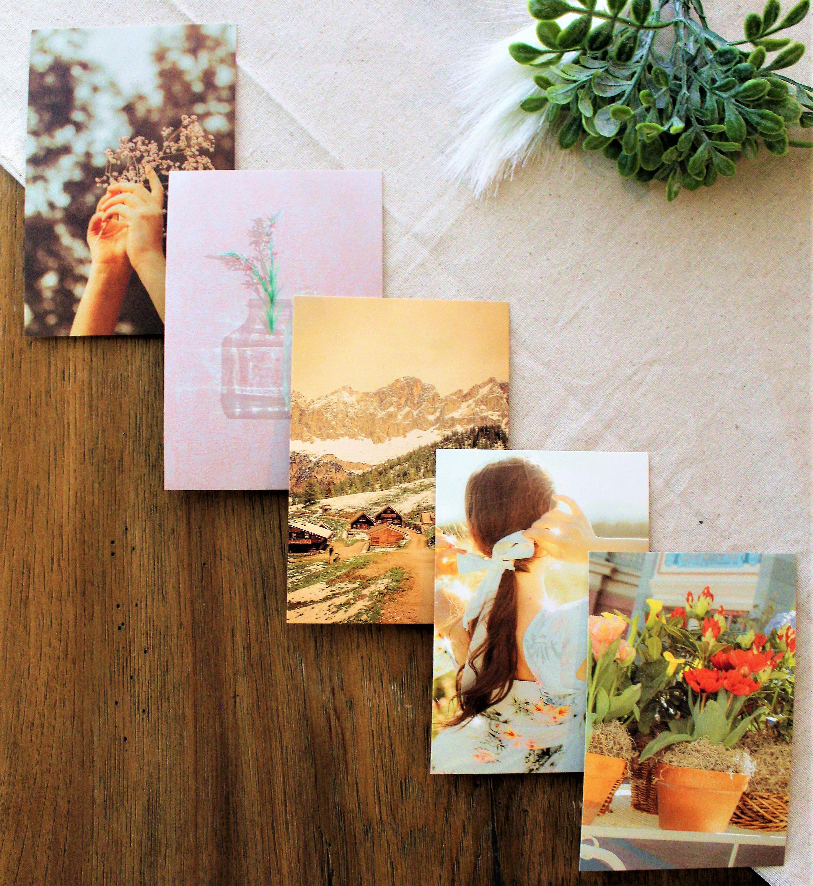 Assorted Cottage Core Aesthetic Postcards | Set of 5 Blank Postcards ...