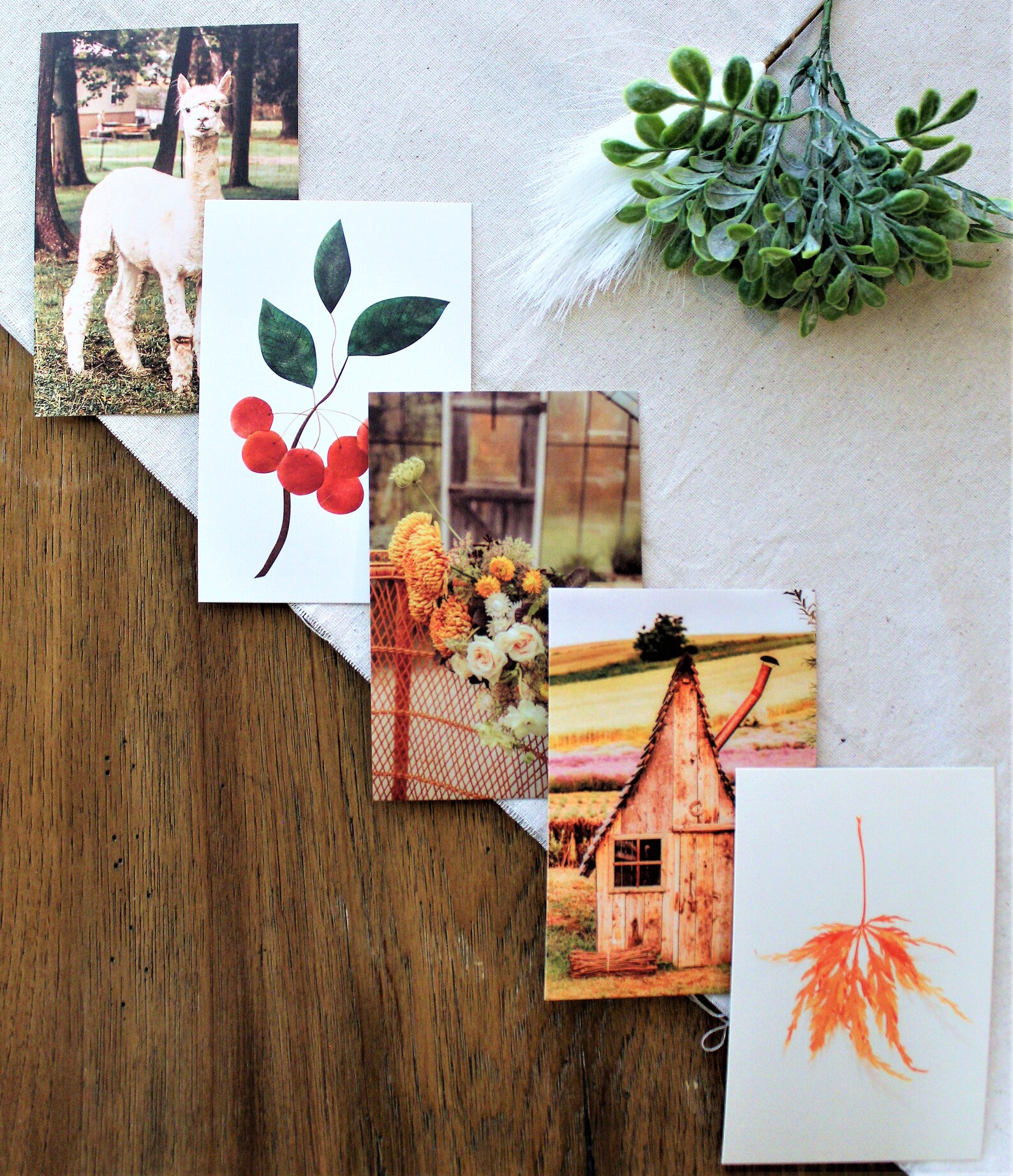 Assorted Cottage Core Aesthetic Postcards | Set of 5 Blank Postcards ...