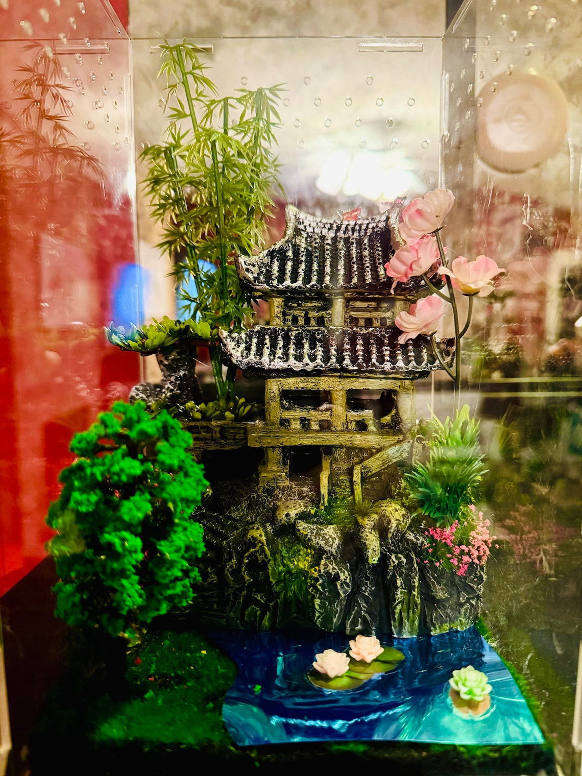 Custom Jumping Spider/invertebrate Enclosures - Etsy