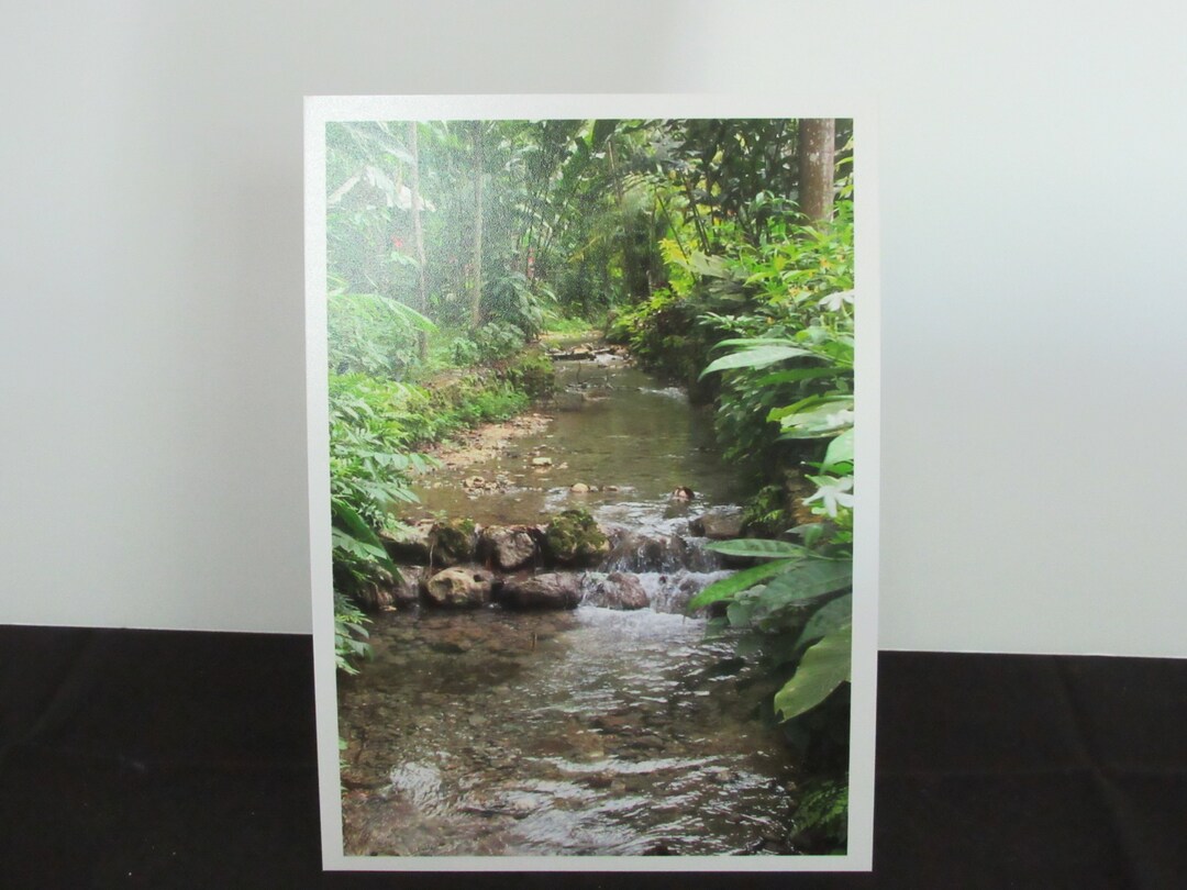 5 X 7 Mini Waterfall in Jamaica, Nature Photographic Print - Etsy