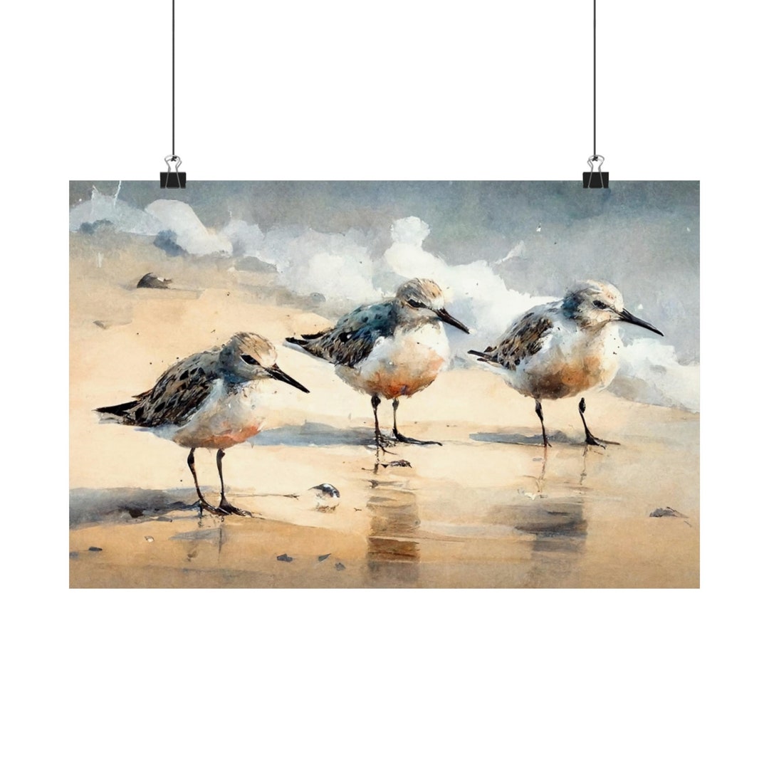 Sandpiper Art Print Poster - Museum-grade Archival Paper, Multiple ...