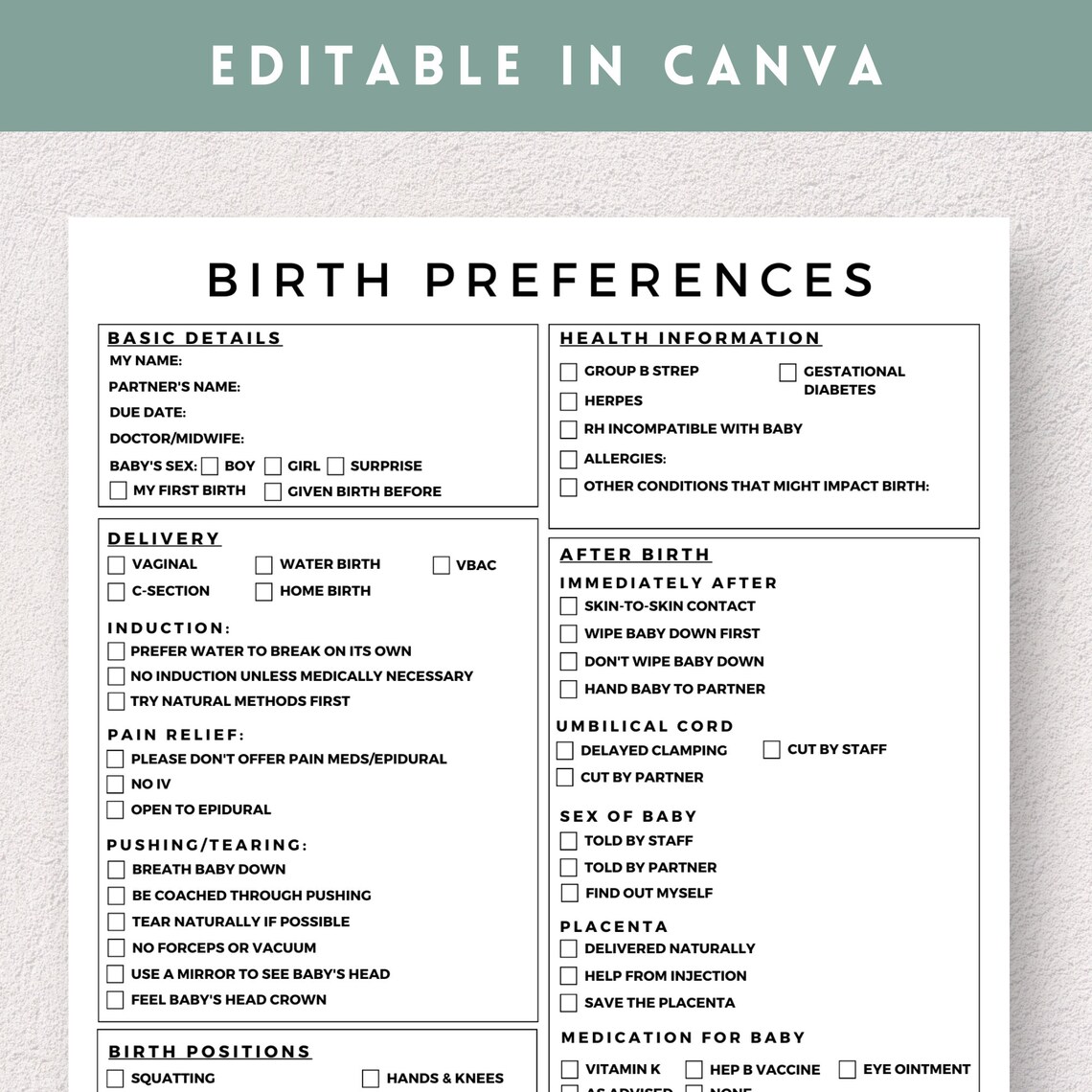 Birth Plan Template Editable Birth Plan Template Printable Birthing ...