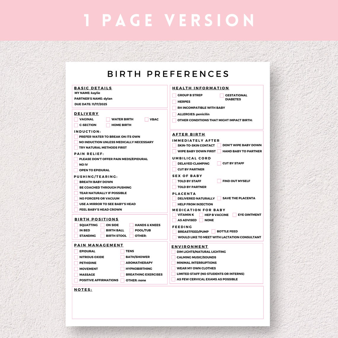 Birth Plan Template Editable Birth Plan Template Printable Birthing ...