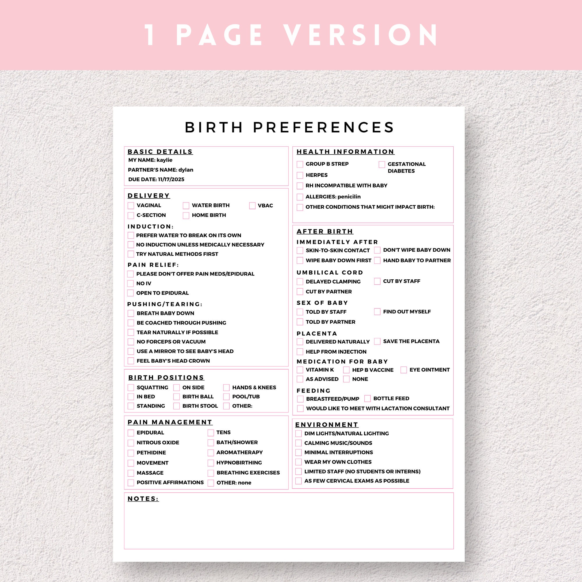 Birth Plan Template Editable Birth Plan Template Printable Birthing ...