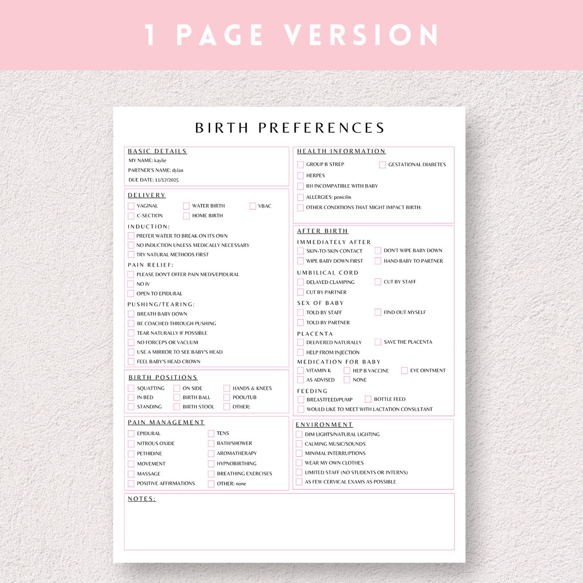 Birth Plan Template Editable Birth Plan Template Printable Birthing ...