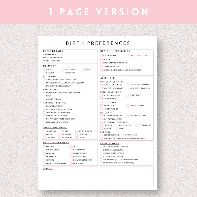 Birth Plan Template Editable Birth Plan Template Printable Birthing ...