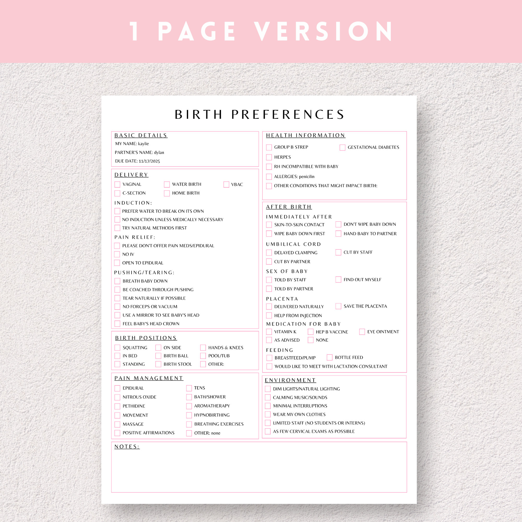 Birth Plan Template Editable Birth Plan Template Printable Birthing ...