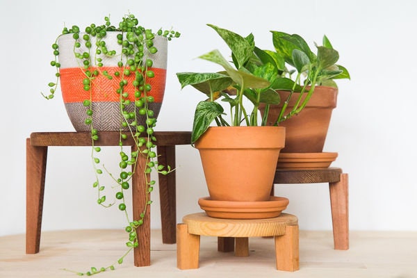 Indoor Cedar Plant Stand | Trio | Nesting Plant Stands | Nesting Wood ...