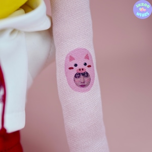 Felix Changbin Pillow, Changlix Pillow, Bbokari, Dwaekki, Skzoo ...