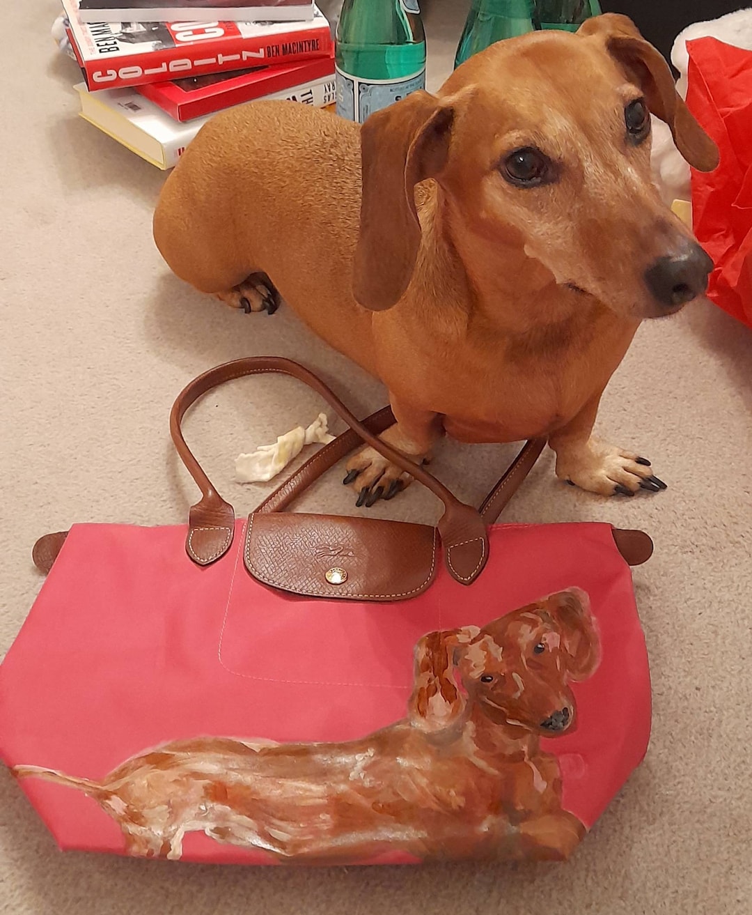 Pet Portrait Longchamp Bag Custom Design Cat Dog Any Pet Preloved and ...