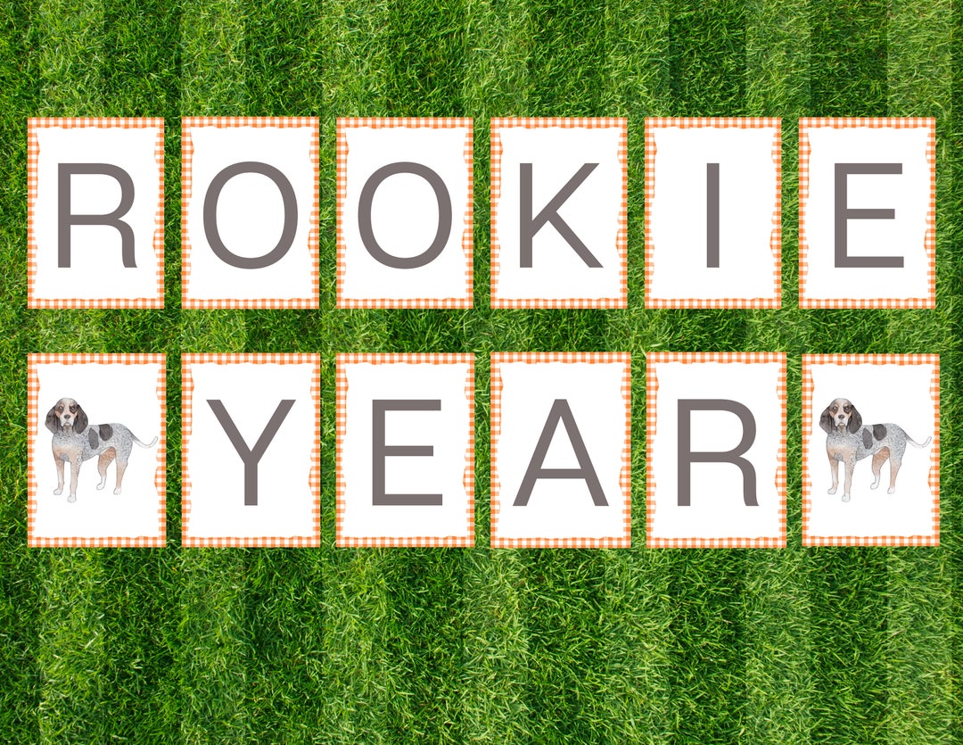 Rookie Year Birthday Party Banner, Football Birthday, Orange and White ...