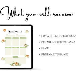 Fall - Pumpkin - Digital Planner Template - Canva - Etsy