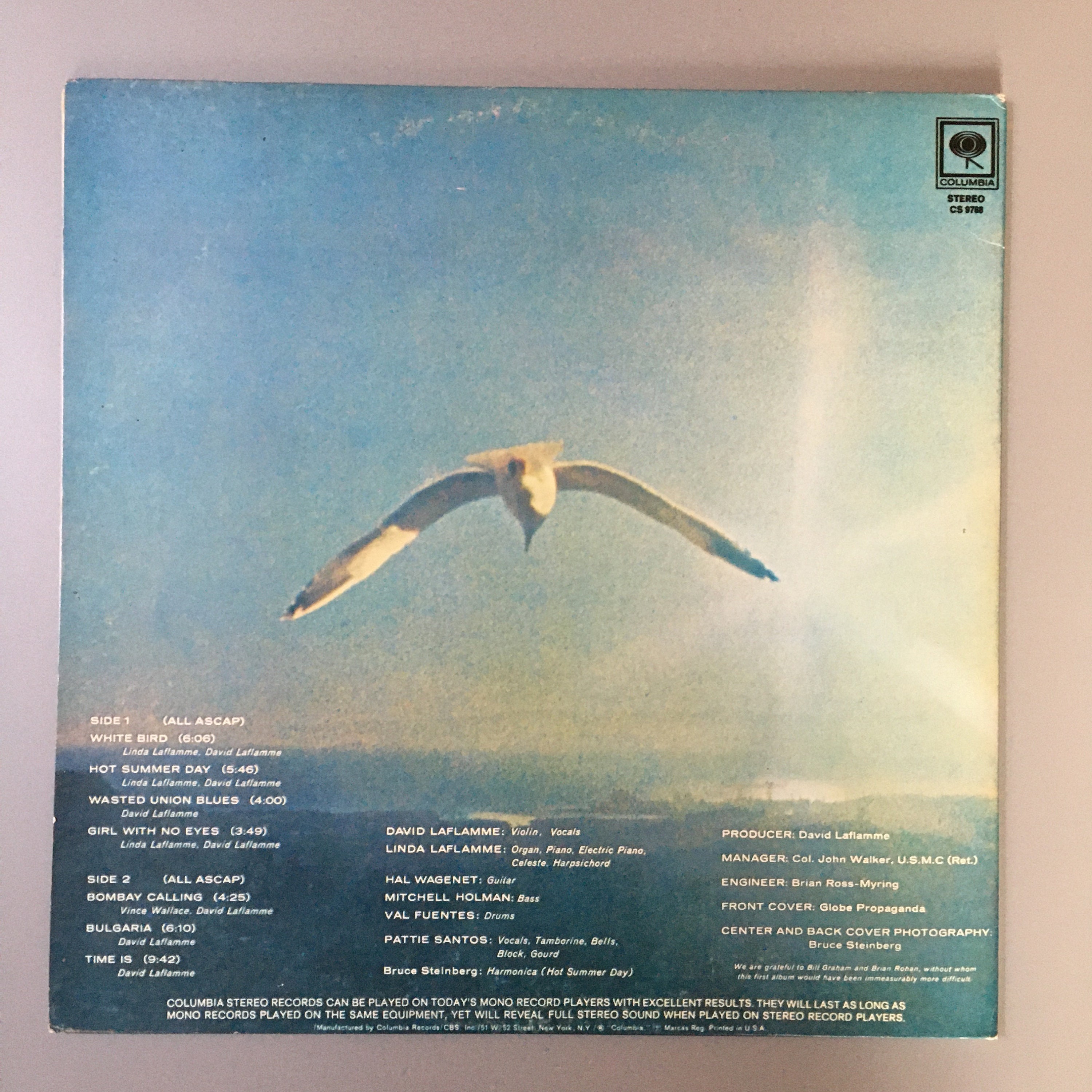 Vinyl Record It's A Beautiful Day LP Album - Etsy