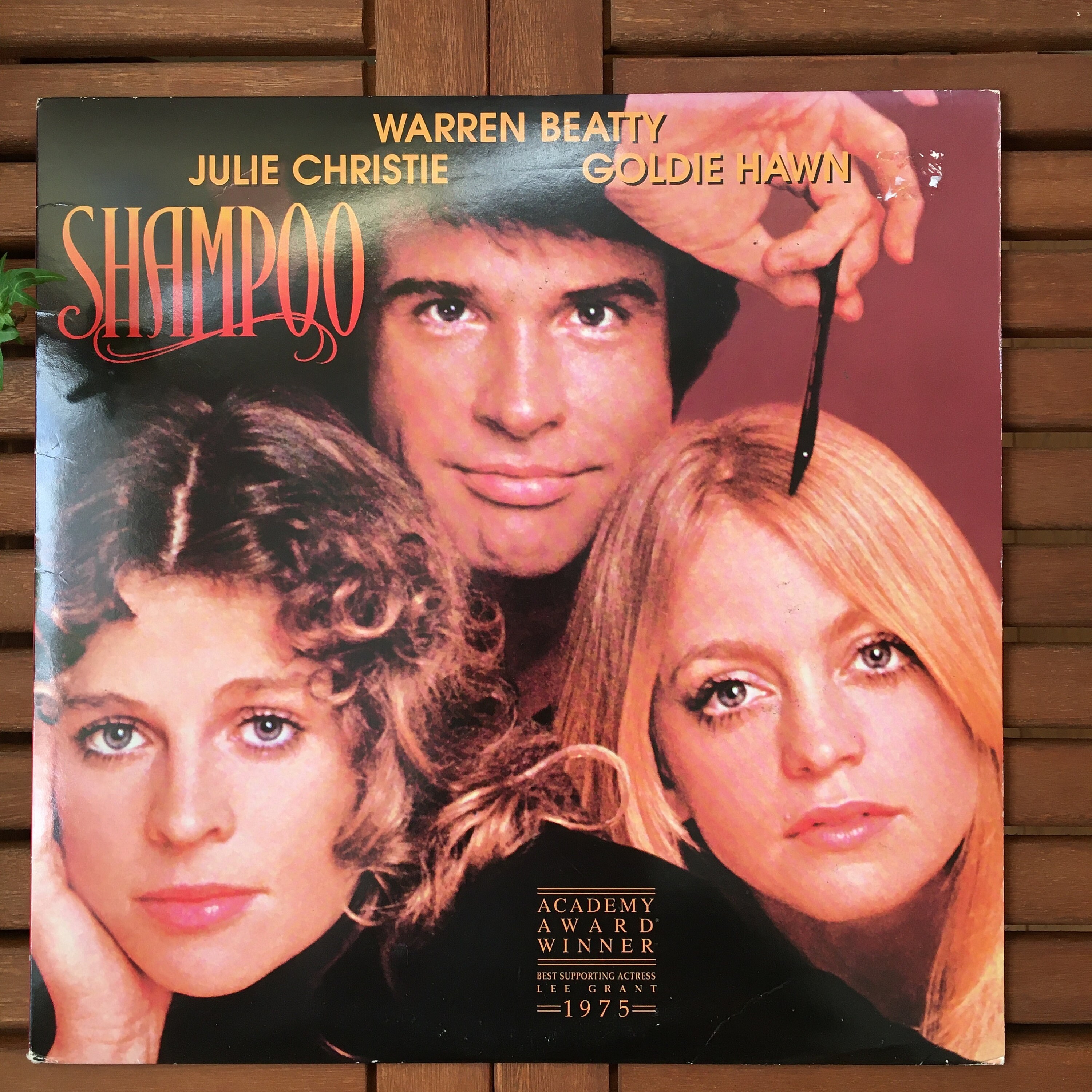 Warren Beatty Shampoo Poster