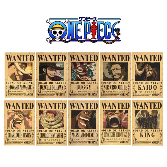 One Piece Wanted Blackbeard VOID Pirate King Blackbeard Bounty By