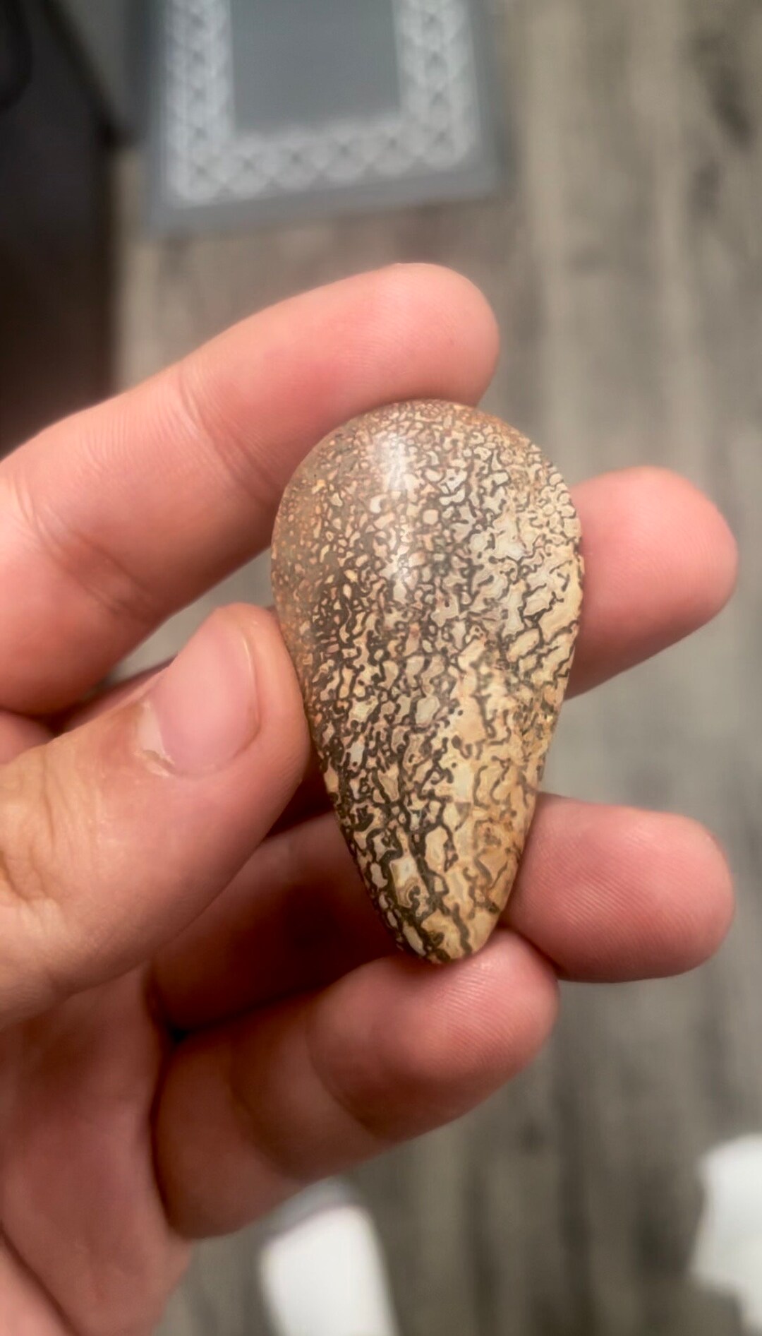 Dinosaur Bone Gembone Cabochon From Utah - Etsy
