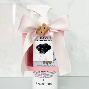 Instagram / Tiktok Viral Larger Gift-in-a-box (set of 6), Large Hang ...