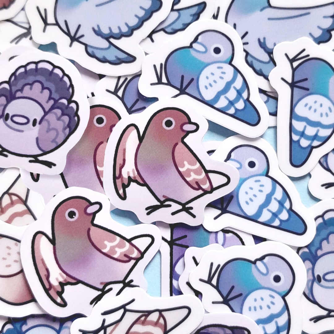 Silly Pigeon Sticker Pack - Etsy
