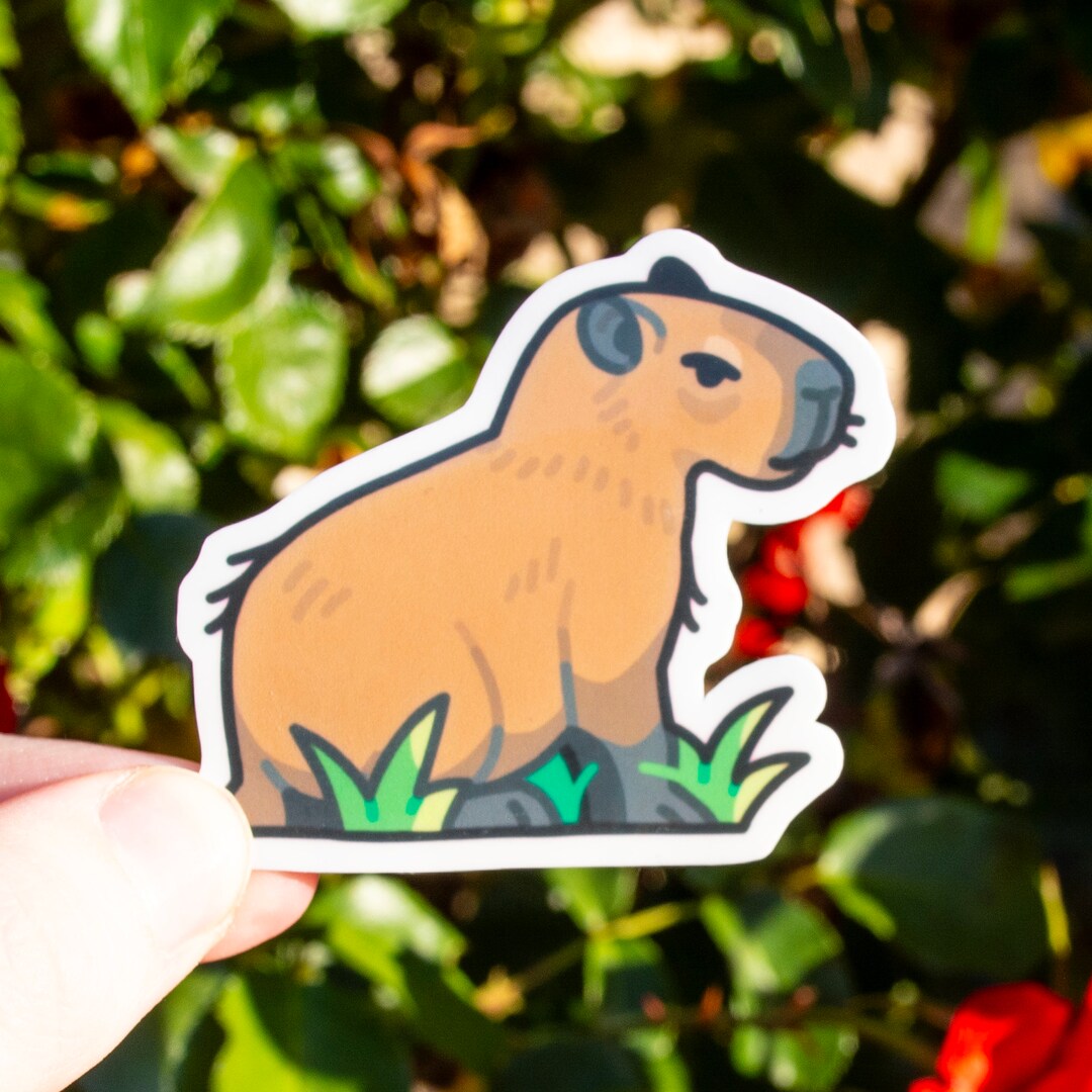 Vinyl Capybara Sticker - Etsy