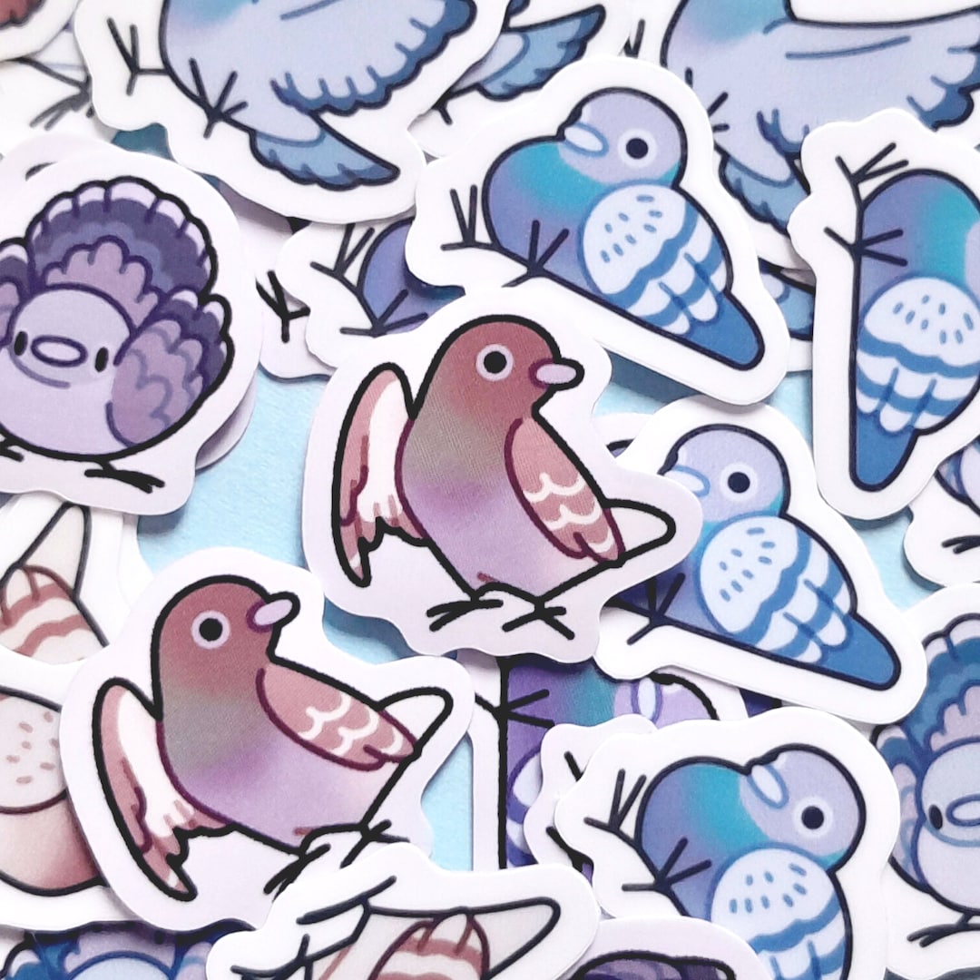 Silly Pigeon Sticker Pack - Etsy