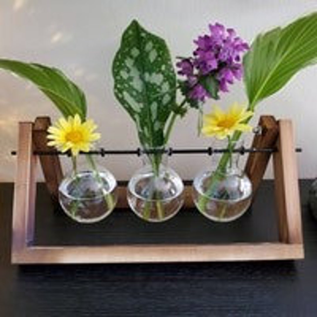 Glass Planter Wooden Plant Stand With Glass Vase - Etsy