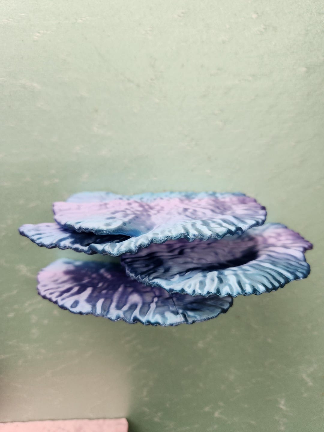 Montipora Capricornis Coral Display Shelf Set for Unique Home Decor and ...