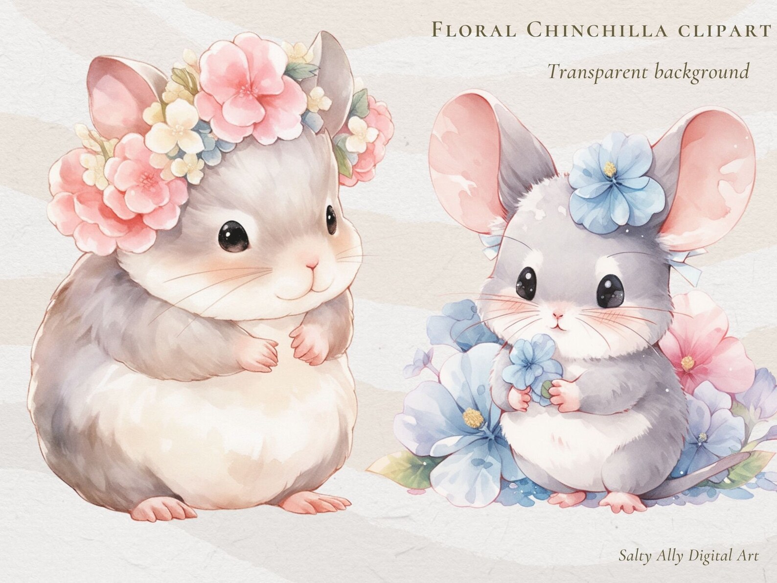 Chinchilla Clipart: Watercolor Floral Chinchilla |20 PNG| Card Making ...