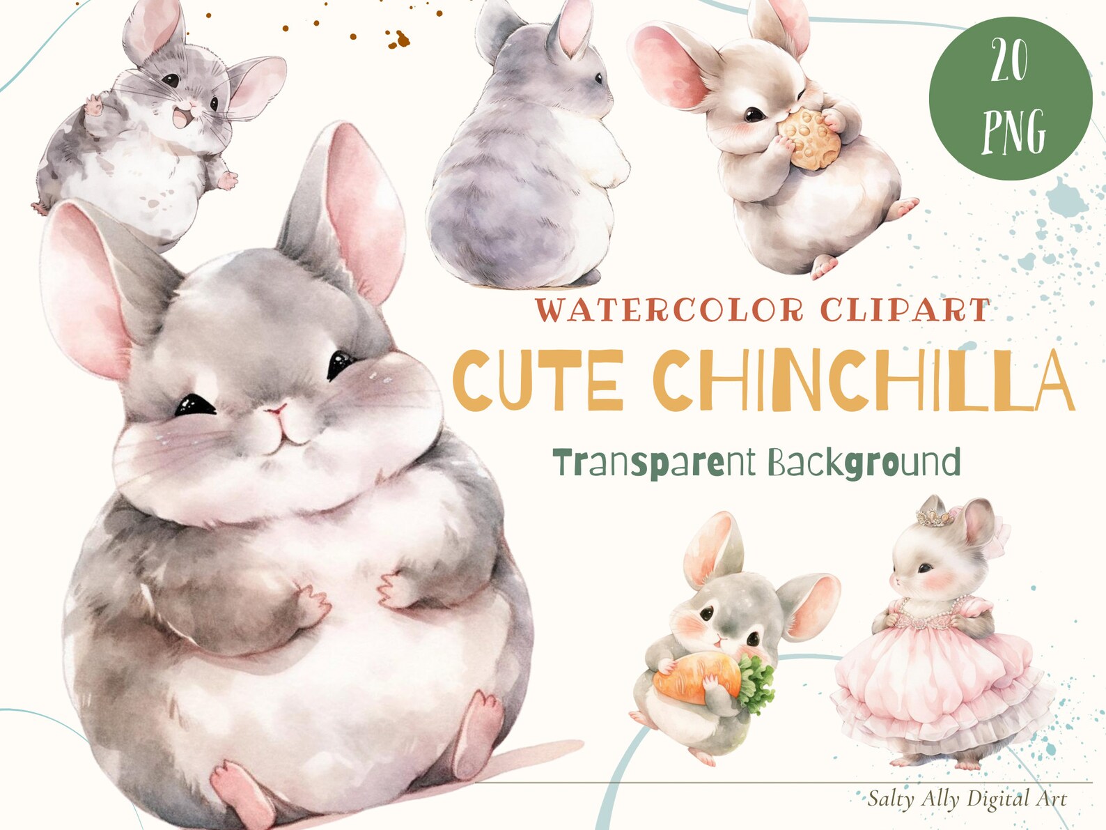 Chinchilla Clipart: Watercolor Cute Chinchilla |20 PNG| Card Making ...