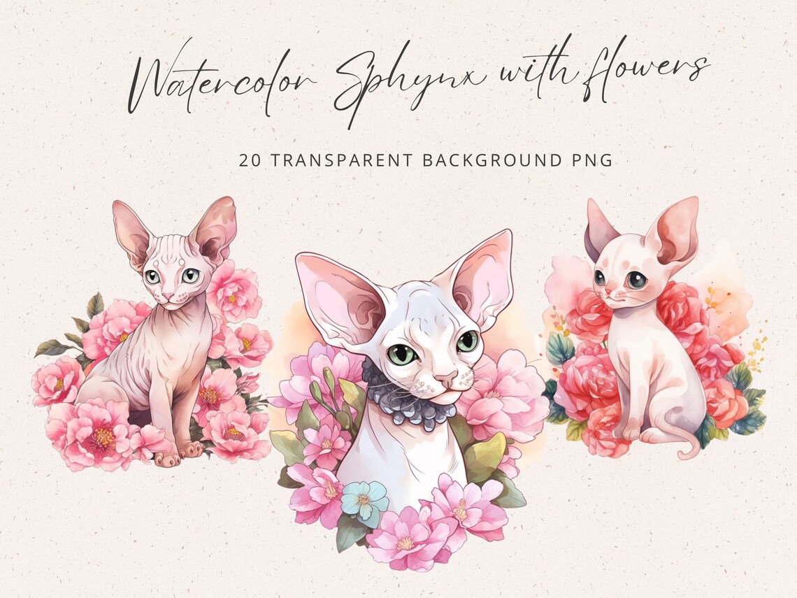 Kitten Clipart: Watercolor Floral Sphynx Cat20 PNG Card - Etsy