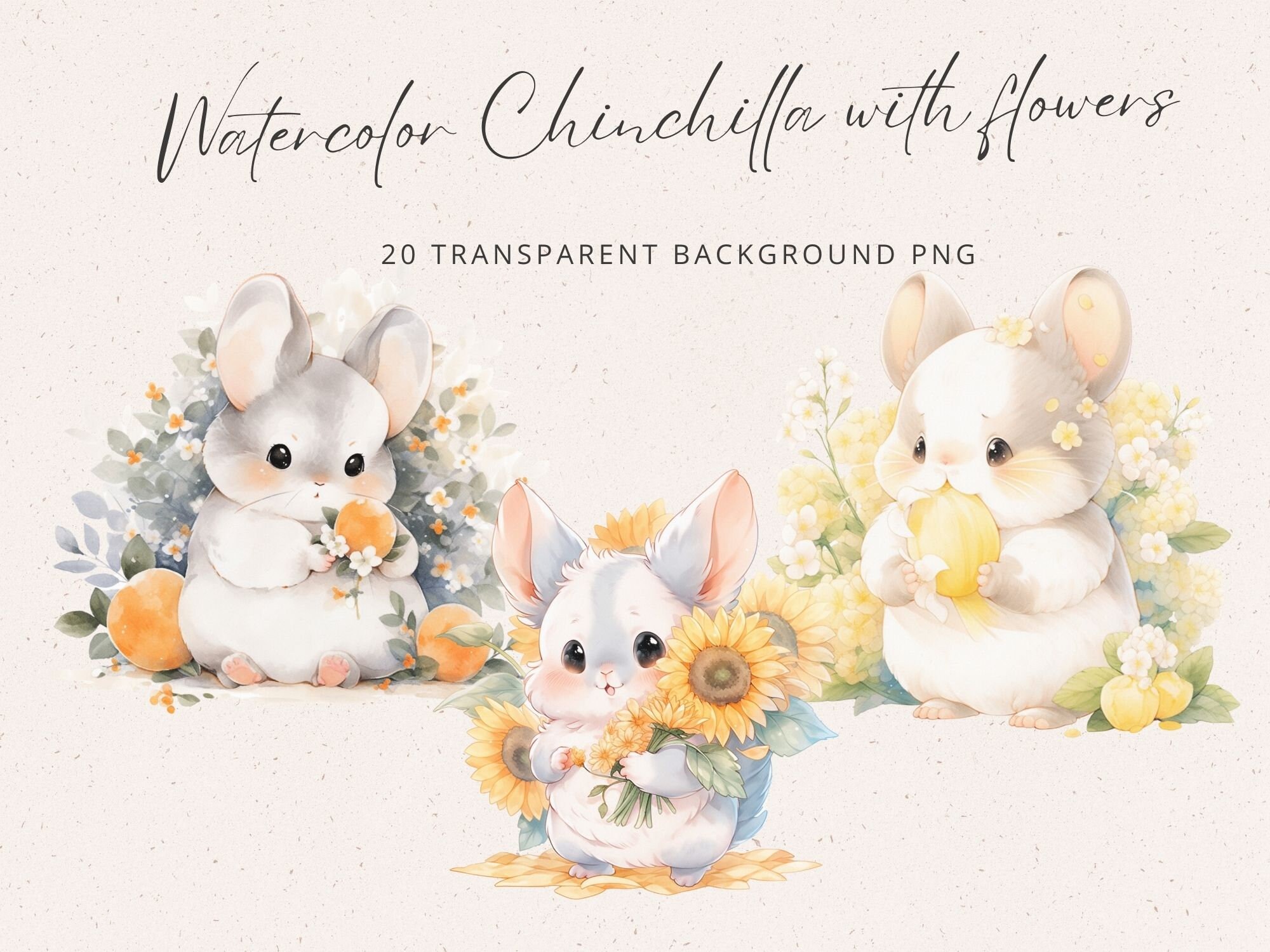 Chinchilla Clipart: Watercolor Floral Chinchilla |20 PNG| Card Making ...