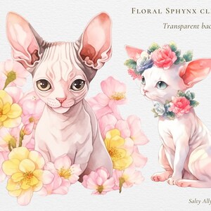 Kitten Clipart: Watercolor Floral Sphynx Cat|20 PNG| Card Making ...