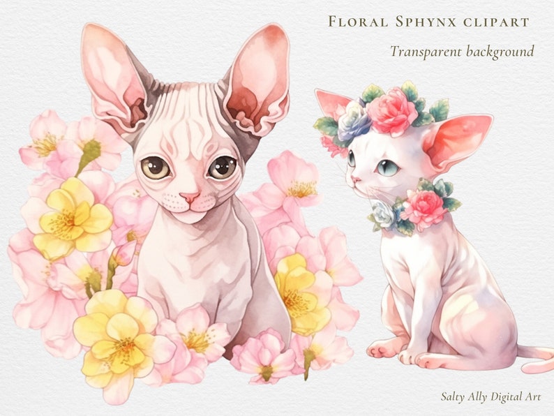 Kitten Clipart: Watercolor Floral Sphynx Cat|20 PNG| Card Making ...