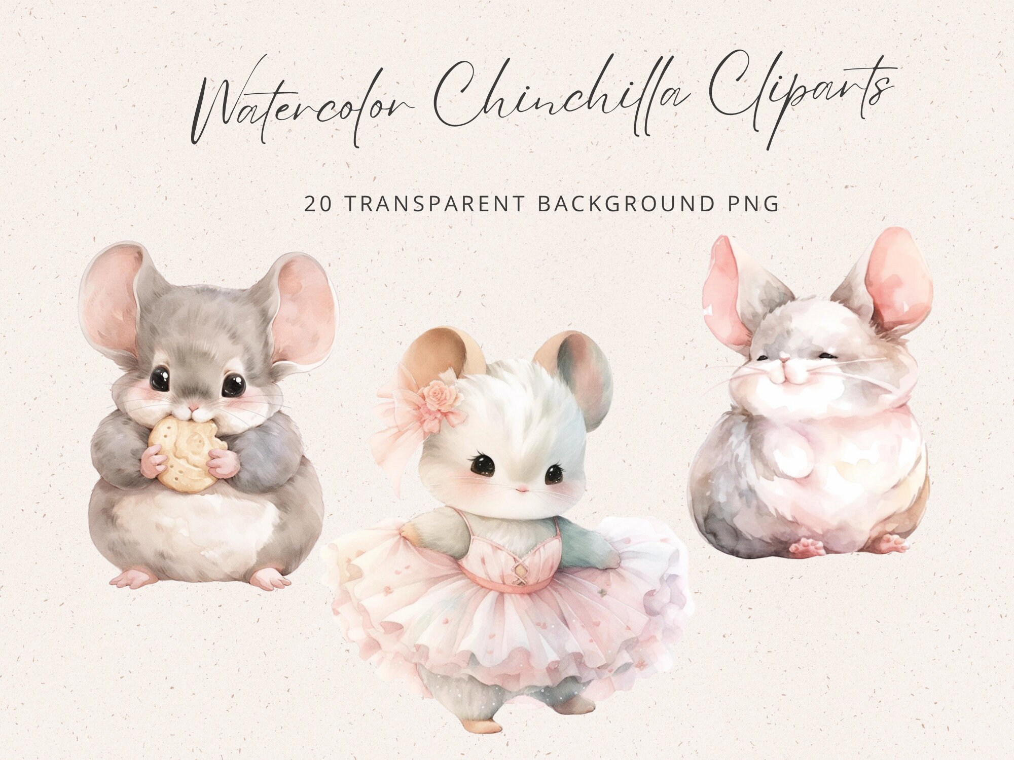 Chinchilla Clipart: Watercolor Cute Chinchilla |20 PNG| Card Making ...