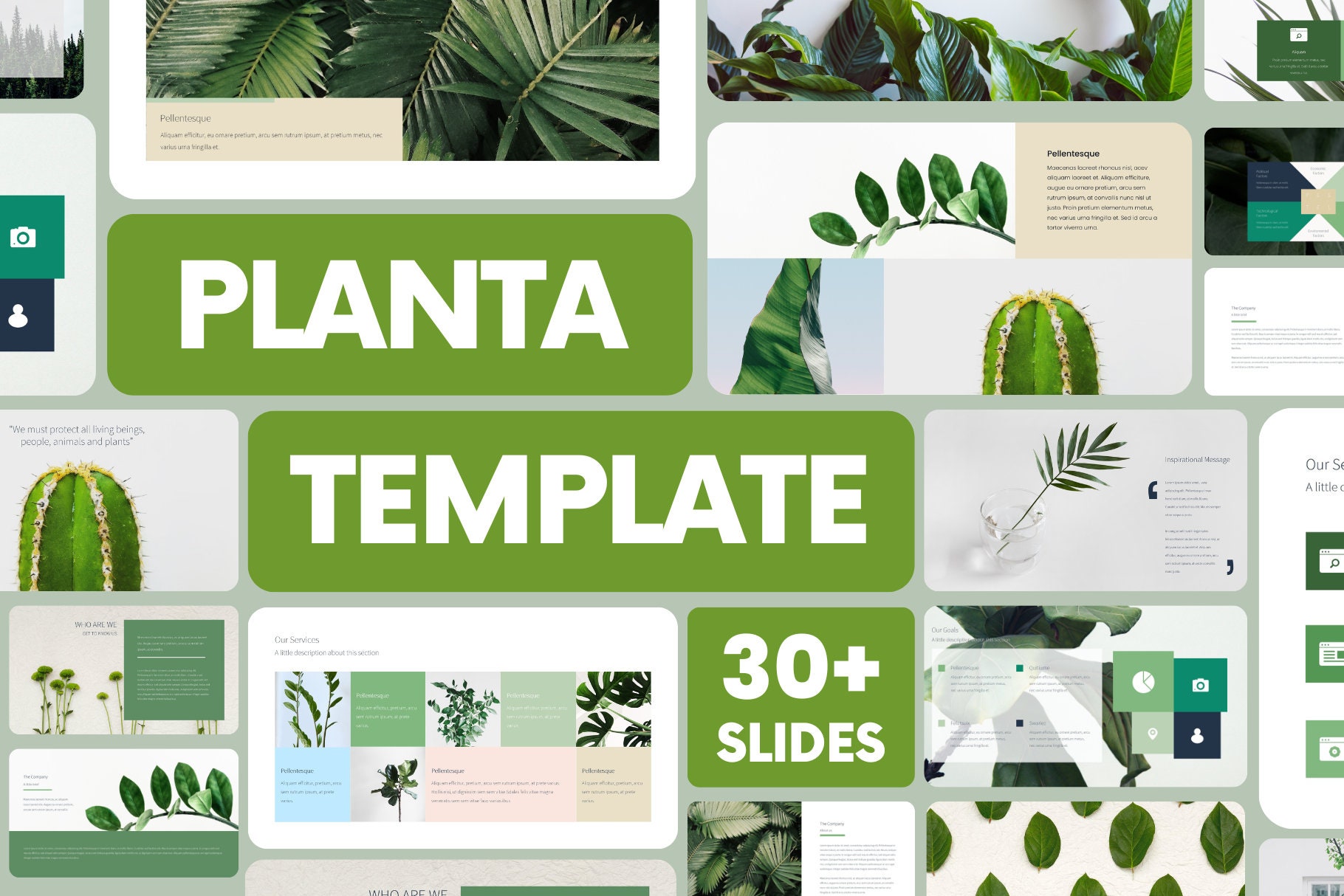 Plants Powerpoint Presentation Template Business Presentation School ...
