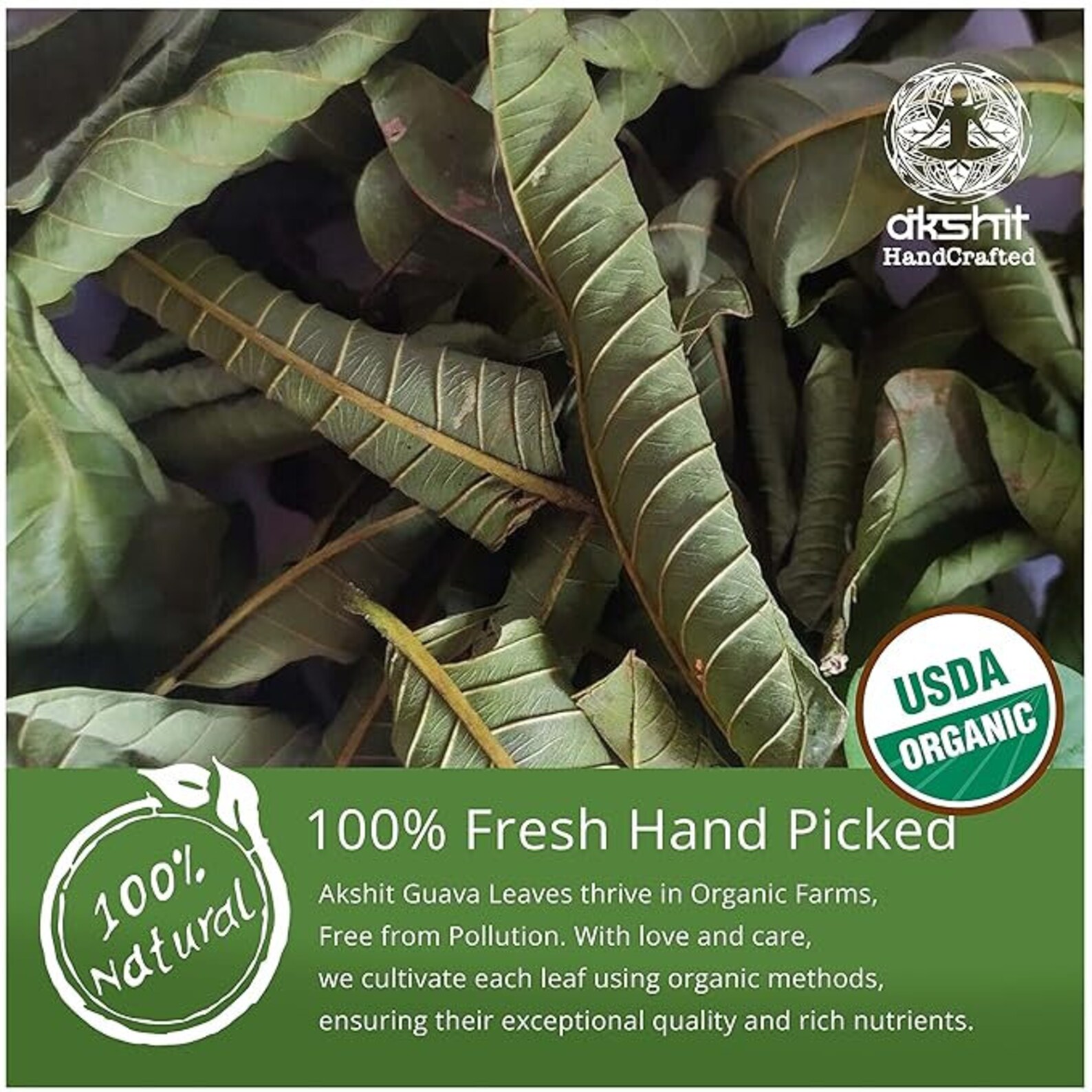 Organic Guava Leaves, Guava Tea, 100% Pure Natural Guava Leaf, Hojas De ...